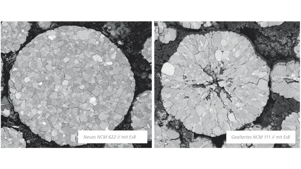 ZEISS GeminiSEM: Microscopio elettronico a scansione a emissione di ...