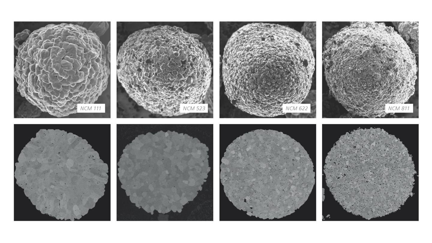 ZEISS GeminiSEM: Microscopio elettronico a scansione a emissione di ...