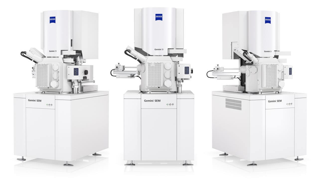 ZEISS GeminiSEM: Microscopio elettronico a scansione a emissione di ...