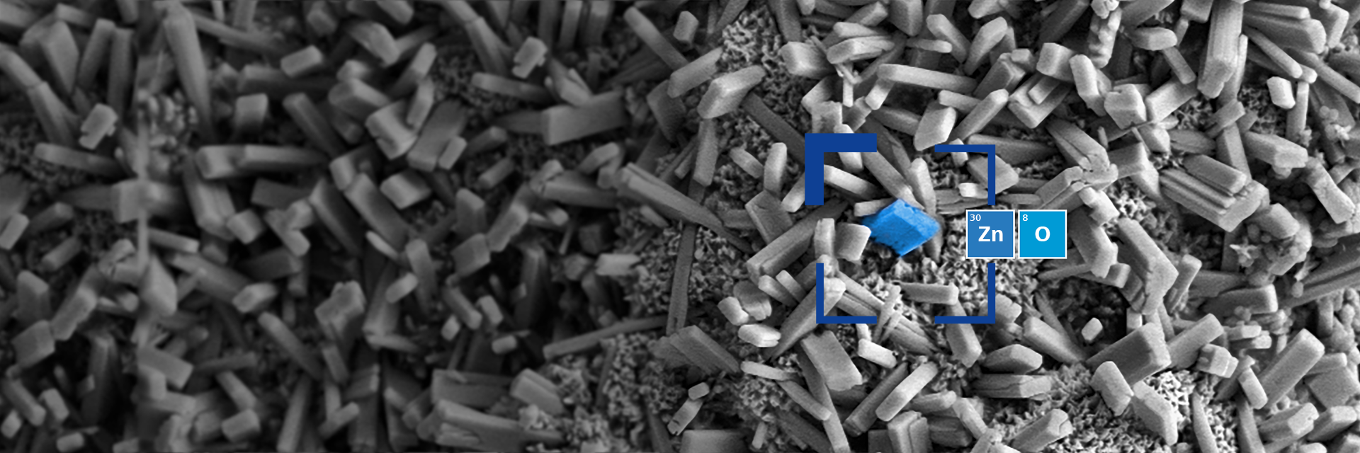 Microscopi elettronici a scansione per l’industria ZEISS, SEM