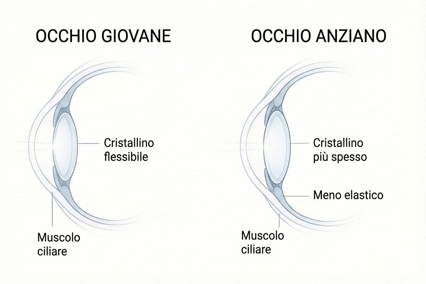 Occhiali per presbiopia: guida completa alla scelta giusta